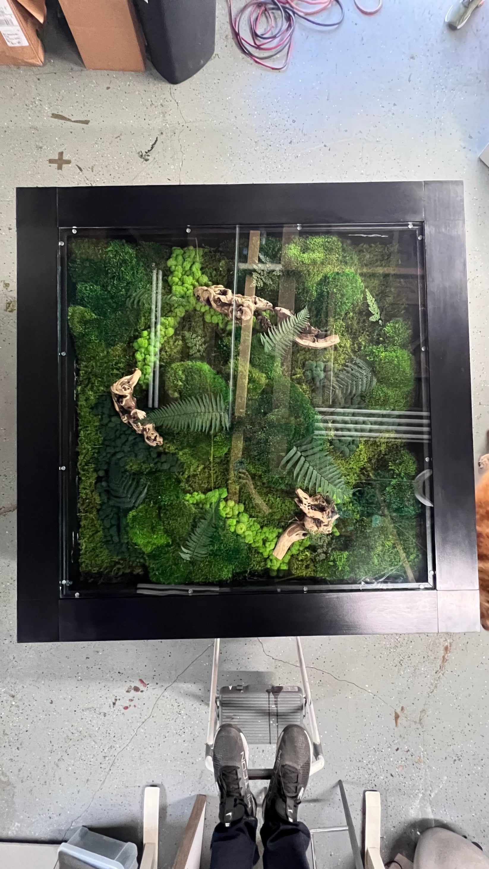 Moss Coffee Table – MossArtInstallations
