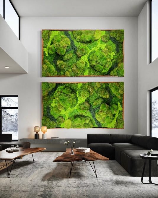 Collections – MossArtInstallations