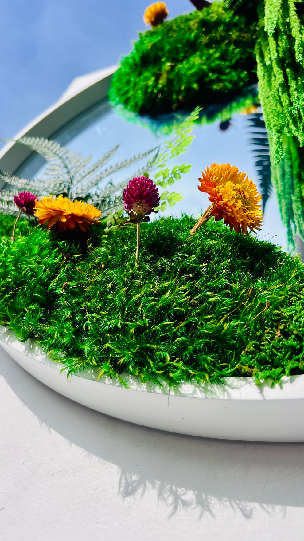 Botanical Mirror – MossArtInstallations