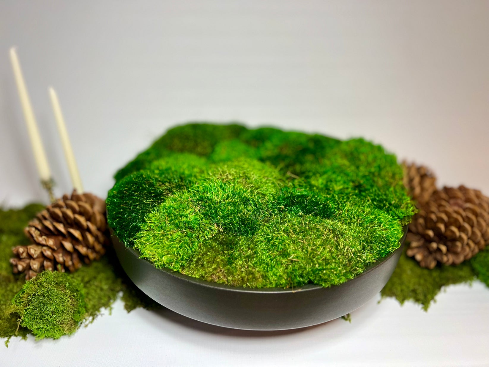 Moss Bowl Centerpiece – MossArtInstallations