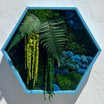 Hexagon Botanical Garden Moss Wall Art by Moss Art Installations ...