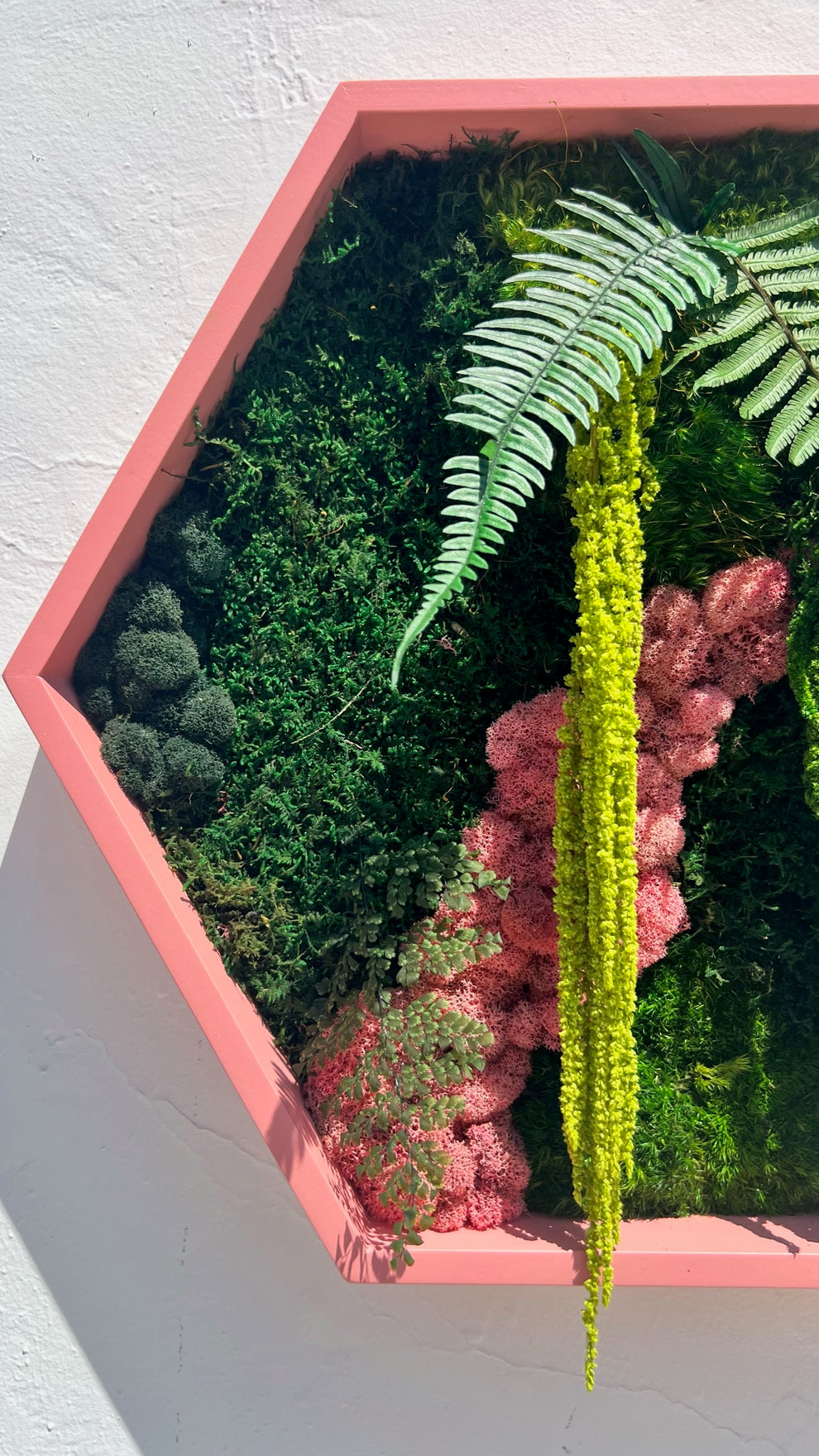 Hexagon Botanical Garden Moss Wall Art by Moss Art Installations ...