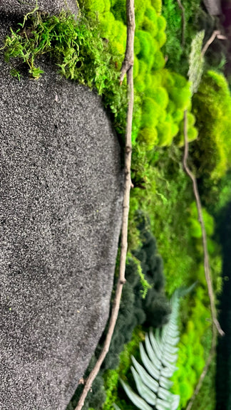 "Welcome to the Jungle" Moss Wall Art – MossArtInstallations