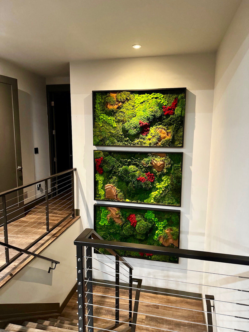 Collections – MossArtInstallations