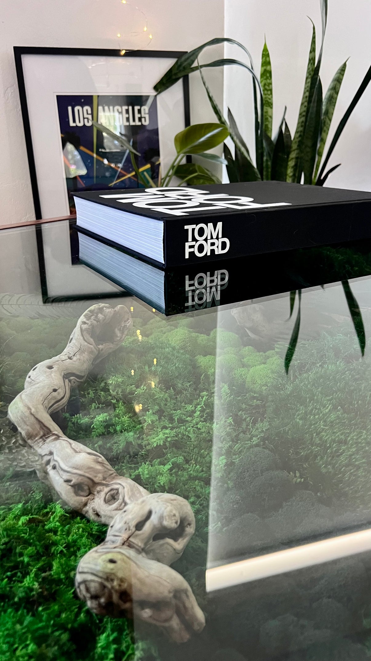Moss Coffee Table – MossArtInstallations