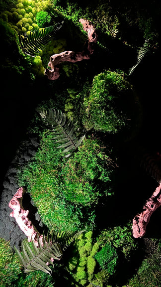 Moss Coffee Table – MossArtInstallations