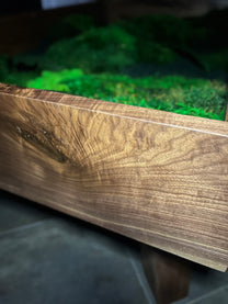 Moss Coffee Table – MossArtInstallations