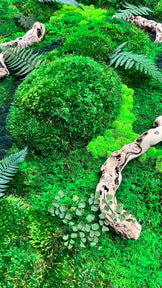 Moss Coffee Table – MossArtInstallations