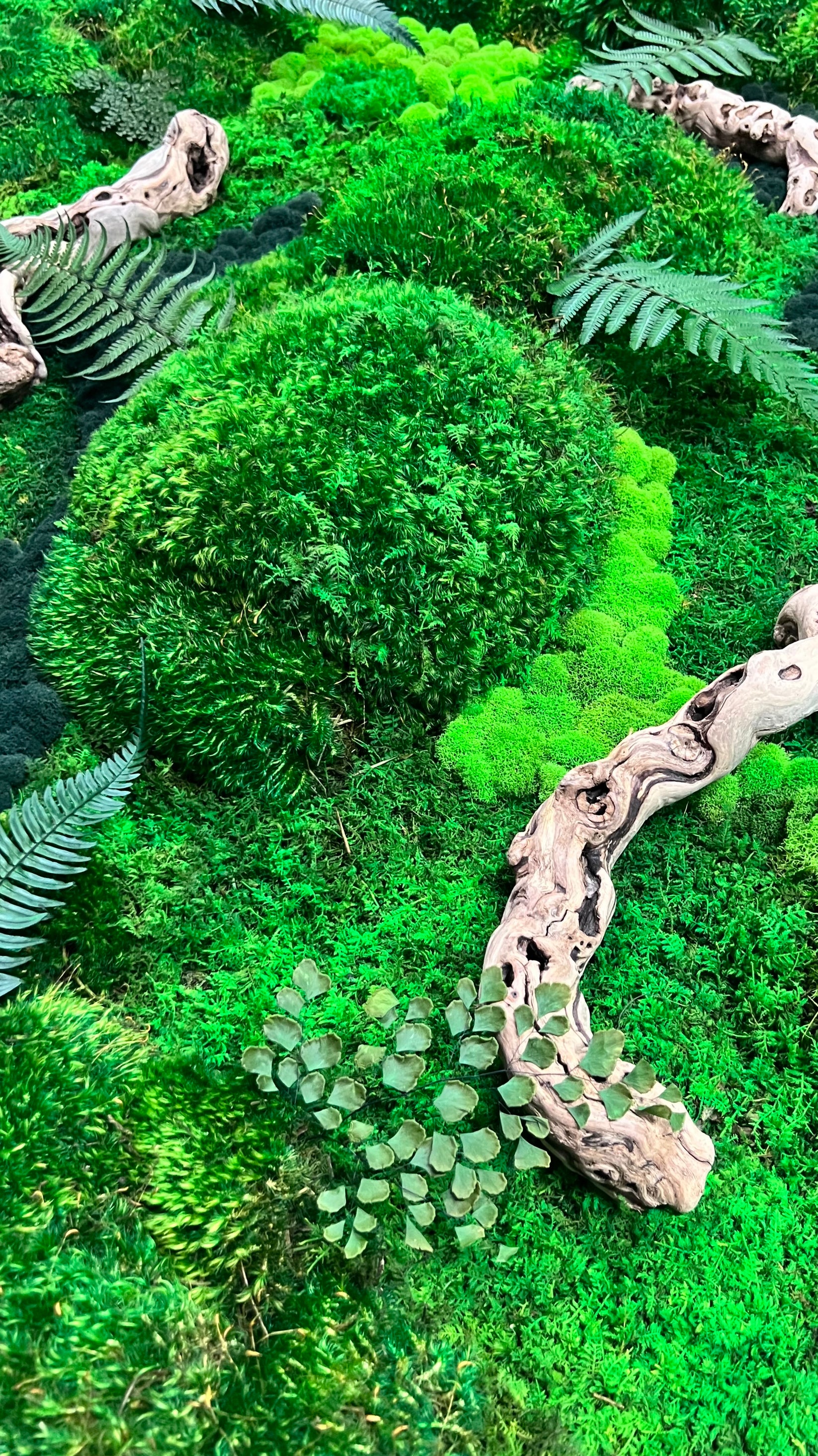 Moss Coffee Table – MossArtInstallations