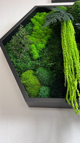 Hexagon Botanical Garden Moss Wall Art by Moss Art Installations ...