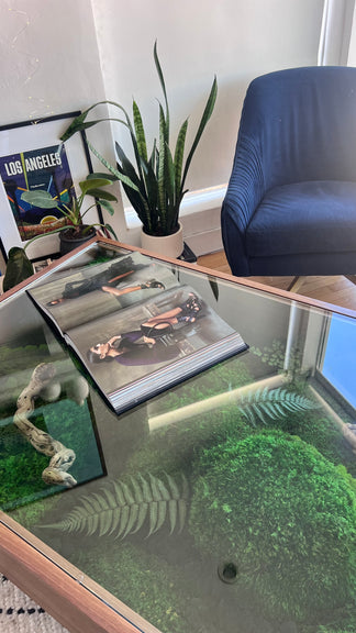 Moss Coffee Table – MossArtInstallations