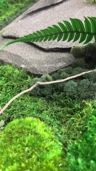 "Welcome to the Jungle" Moss Wall Art – MossArtInstallations