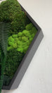 Hexagon Botanical Garden Moss Wall Art by Moss Art Installations ...