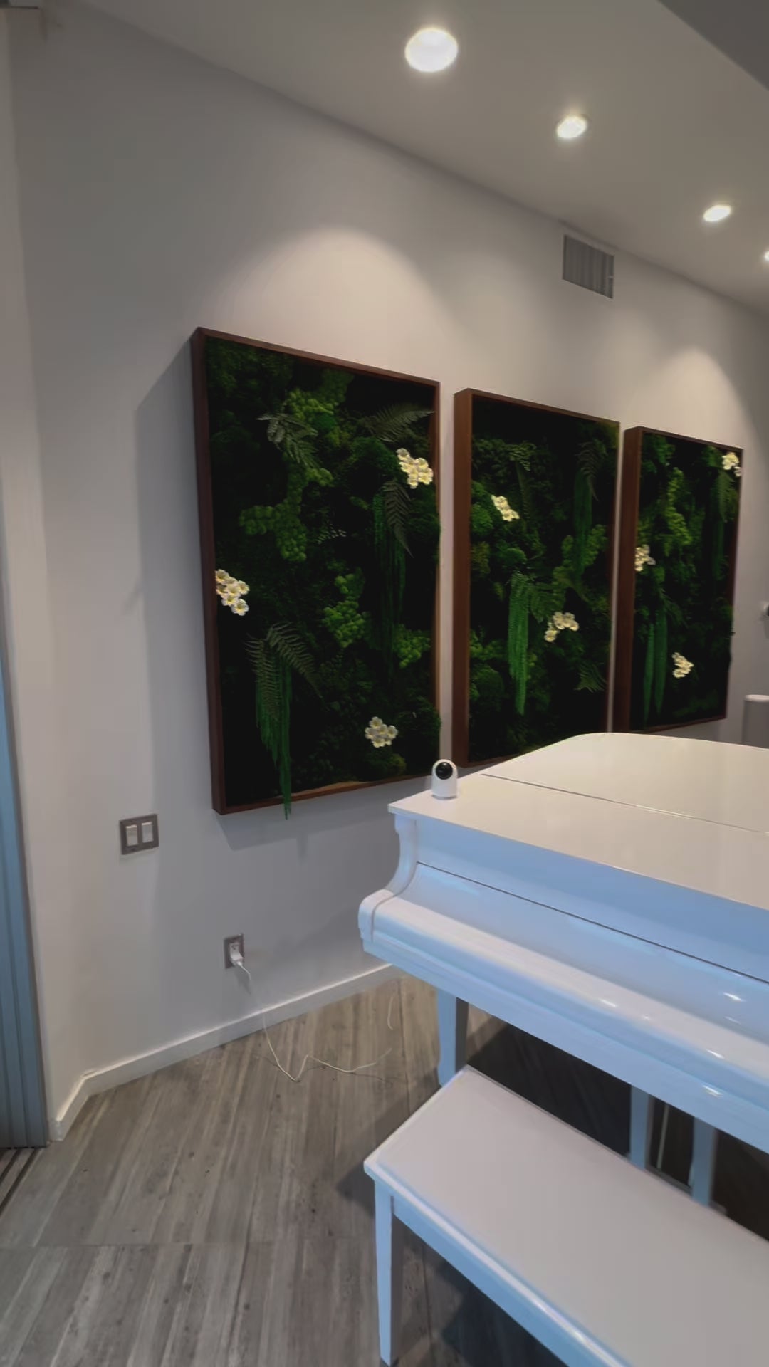 Moss Art Installations – MossArtInstallations