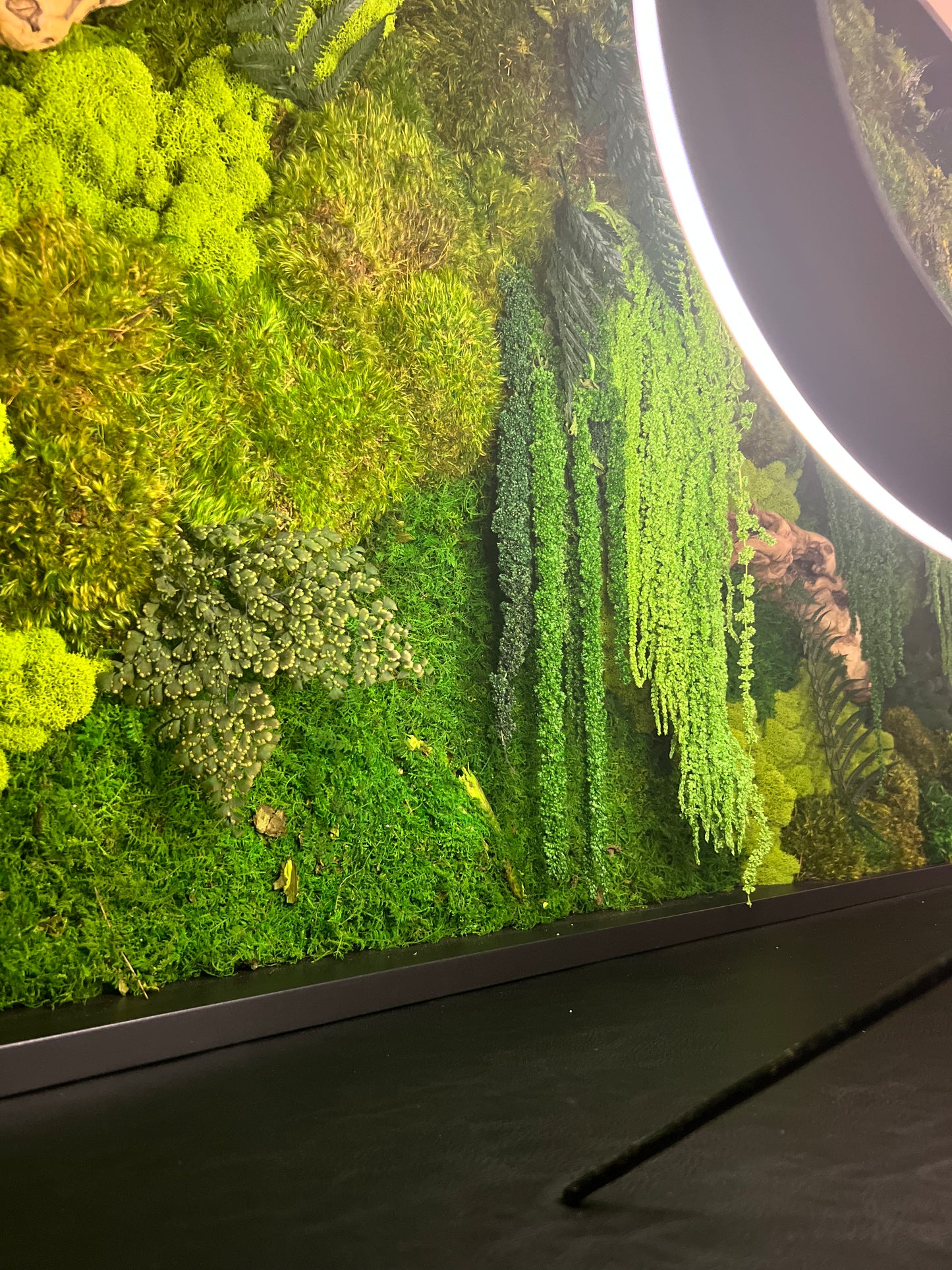 Moss Art Installations – MossArtInstallations